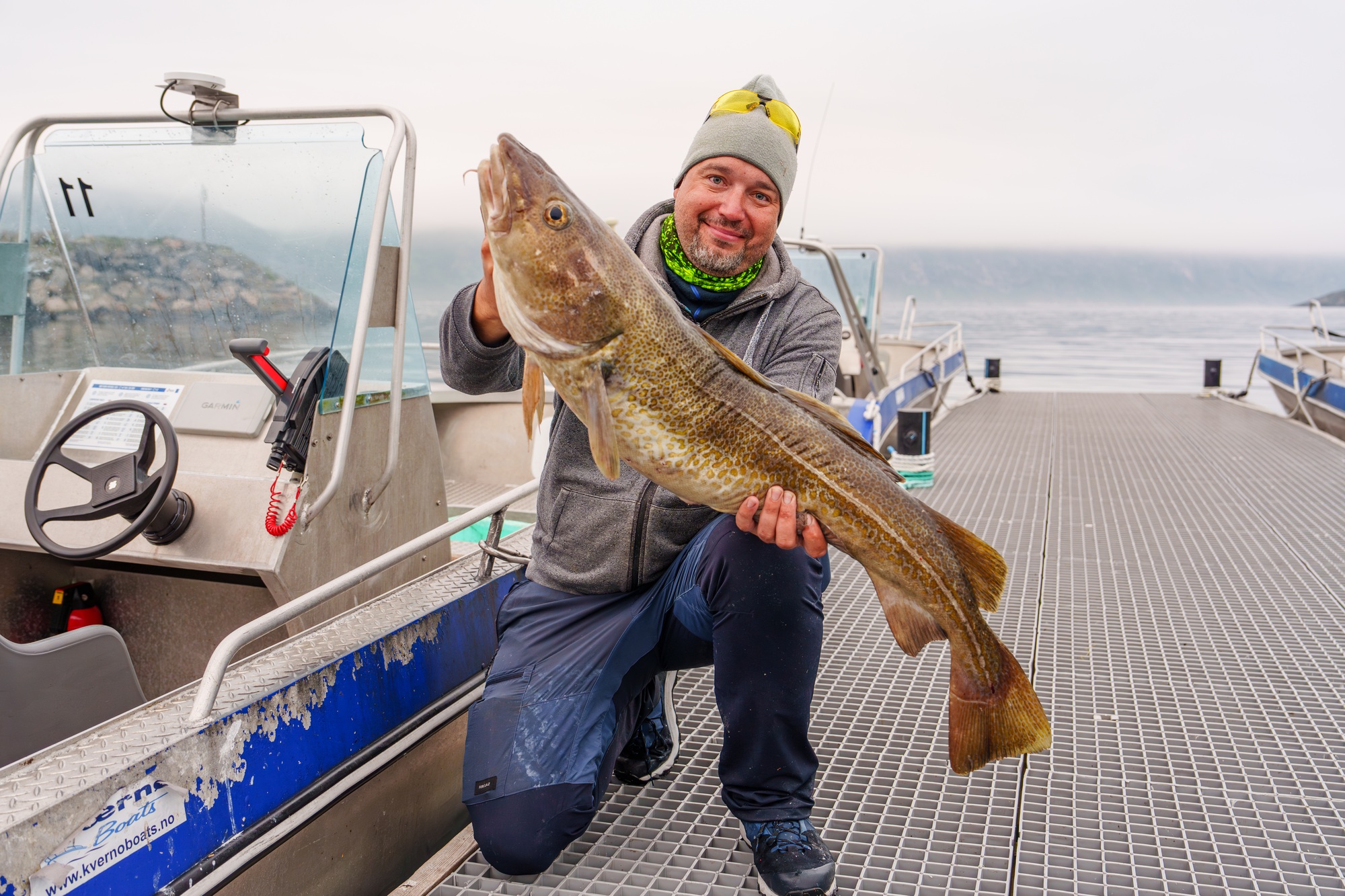 Alt om torsken - Fisklet
